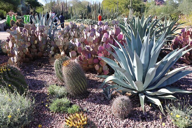 Saguaro NP and Mt. Lemmon Self Guided Driving Audio Tour Bundle - FAQs