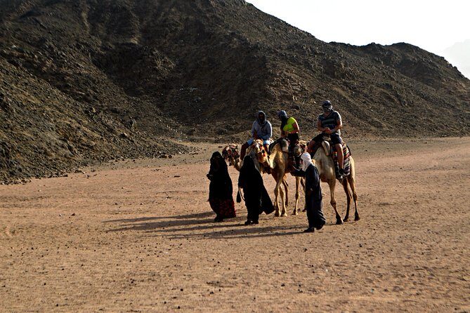 Sahara Park By Jeep - Key Points