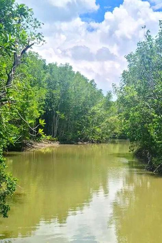 Sai Gon  Can Gio  Monkey Island 1 Day Tour - Who Will Love This Tour?