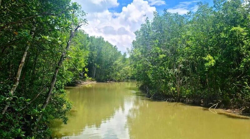 Sai Gon  Can Gio  Monkey Island 1 Day Tour - Final Thoughts