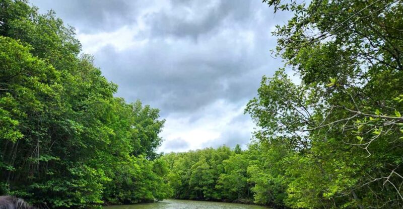 Sai Gon  Can Gio  Monkey Island 1 Day Tour - FAQs