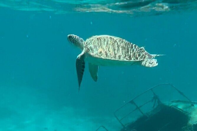 Sail and Snorkel Private Charter - Half Day Morning - Analyzing the Value: Price and Experience