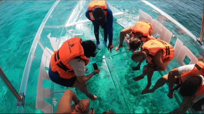 Sail around cancun in the best transparent boat + 2 drinks - Key Points