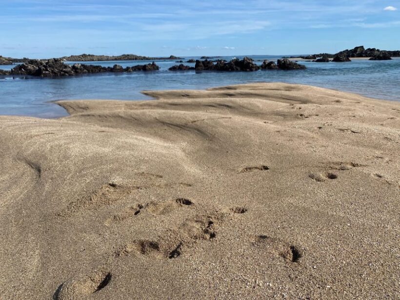 Sail into the heart of the bay - Key Points