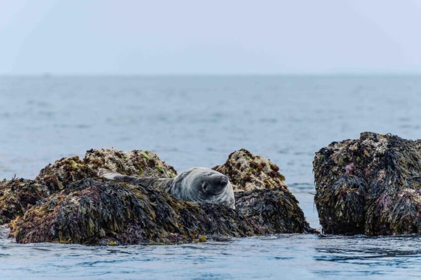Sail into the heart of the bay - What We Loved About the Experience