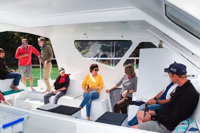 Sail, Seals, and Walk Tour in Abel Tasman - Final Thoughts