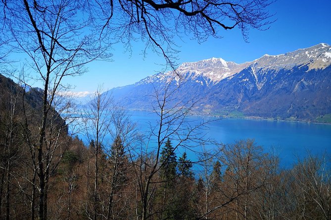 Sail to Basel and then explore either Bern, Luzern, Zurich or the Swiss Alps. - FAQ