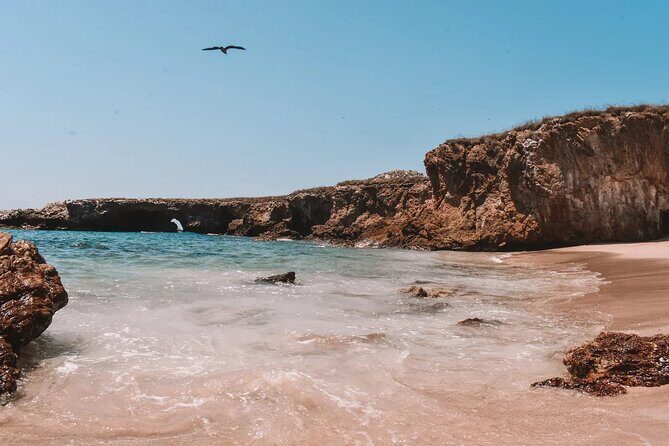 Sail to Playa Escondida in Puerto Vallarta with Food and Snorkeling - Final Thoughts: Who Is This Tour Perfect For?