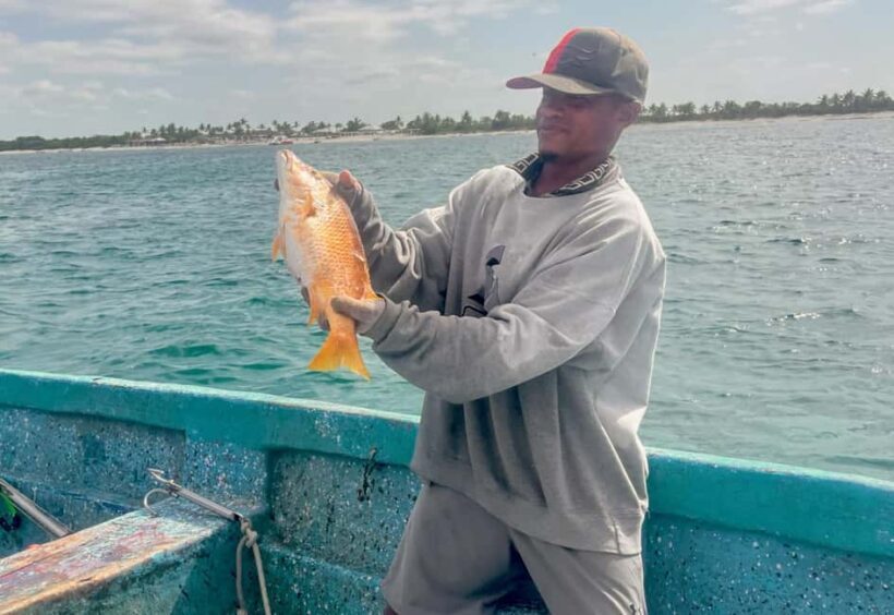 Sail tour to Catalina Island from La Romana - The Sum Up: Who Is This Tour Best For?