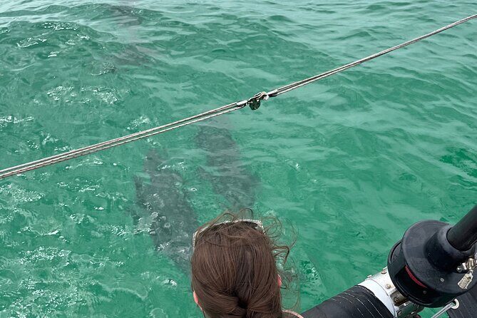Sailing Adventures 3-Hour Activity in Destin - Who Should Consider This Experience?
