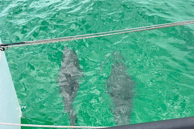 Sailing Adventures 3-Hour Activity in Destin - Frequently Asked Questions