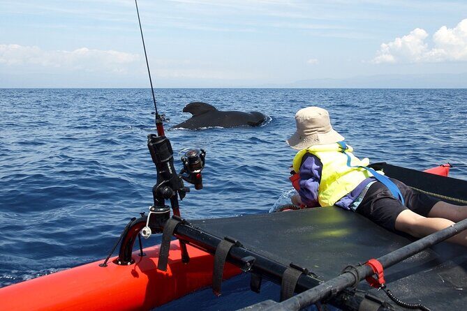 Sailing Alaska's Inside Passage 4 Day Private Tour - Summary and Who Will Love This Tour