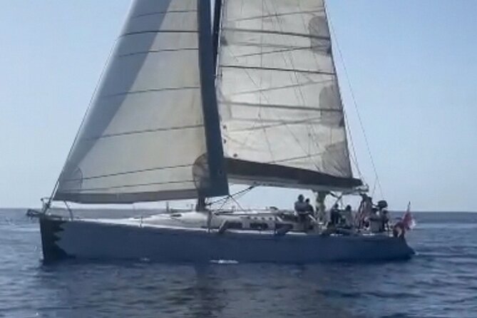 Sailing boat excursion in the Gulf of Orosei in Sardinia - How Do the Reviews Reflect the Experience?