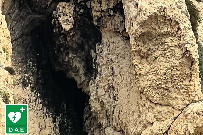 Sailing Boat Tour, Snorkeling and Prosecco Stops - Tips for a Memorable Experience