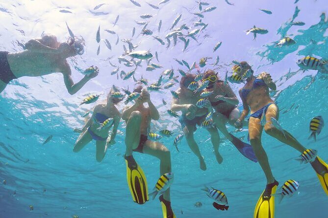 Sailing Catamaran Excursion - A Practical Breakdown of the Experience