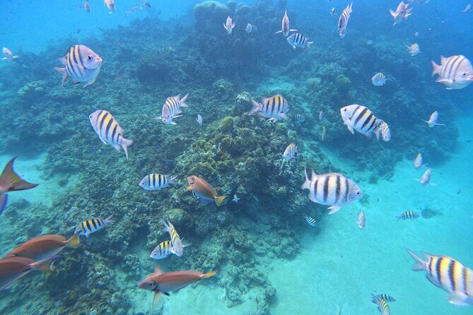 Sailing Catamaran Excursion - The Sum Up