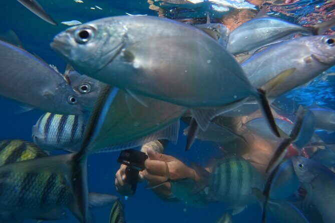 Sailing Catamaran Excursion - FAQ