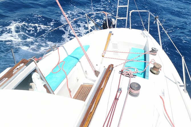 Sailing Excursion & Provençal Picnic - Frequently Asked Questions