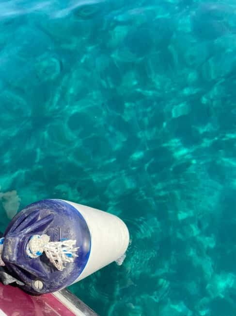 Sailing the Cilento coast: adventure, and serenity - Discovering the Cilento Coast: What to Expect