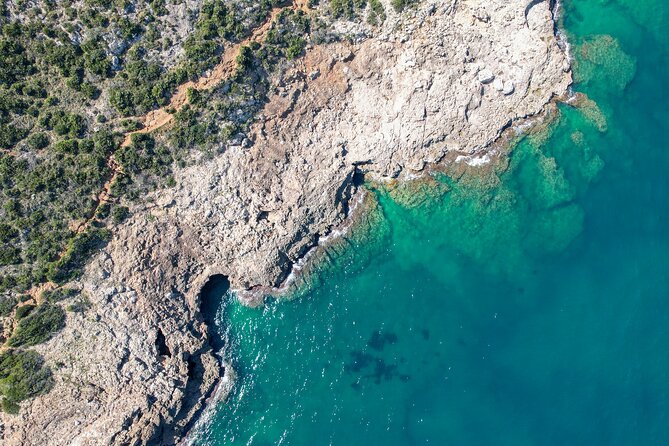 Sailing Trip and Swim in the Bay of Dénia on a Catamaran - Booking Your Trip: Prices and Availability