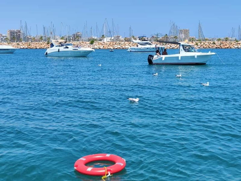 Sailing with sunset and swim in the sea - FAQ