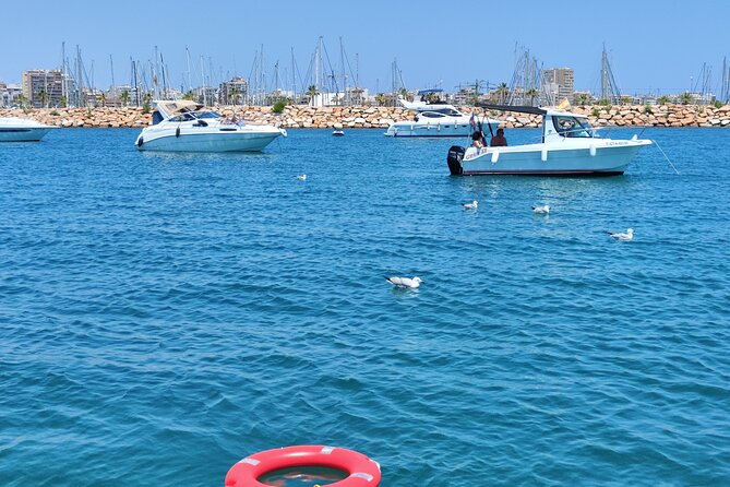 Sailing With Sunset and Swimming in the Sea - Customer Experiences and Feedback