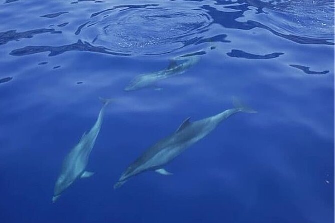 Sailing Yacht on a Private Charter - Accessibility Considerations