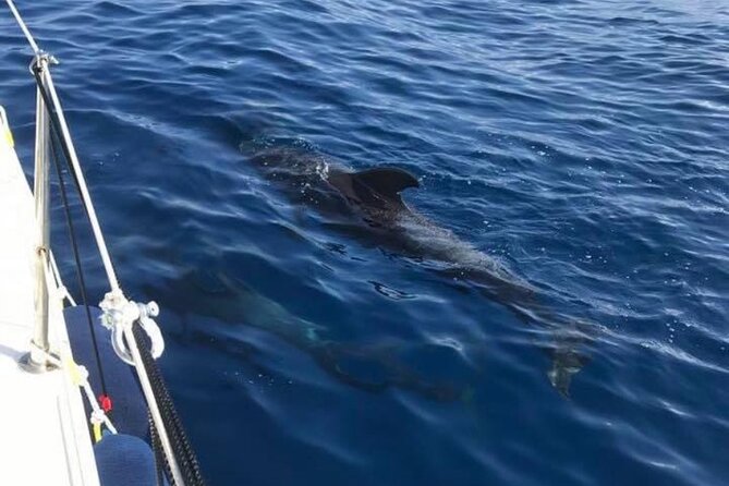 Sailing Yacht on a Private Charter - Commitment to Improving Customer Satisfaction