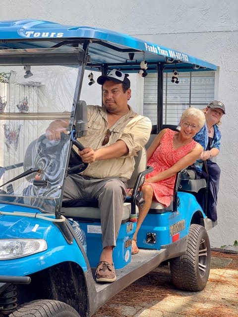 Saint Augustine: Outdoor Art Tour by Electric Golf Cart - Key Points