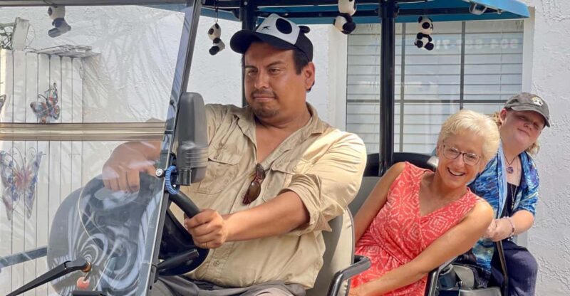 Saint Augustine: Outdoor Art Tour by Electric Golf Cart - The Value of This Experience