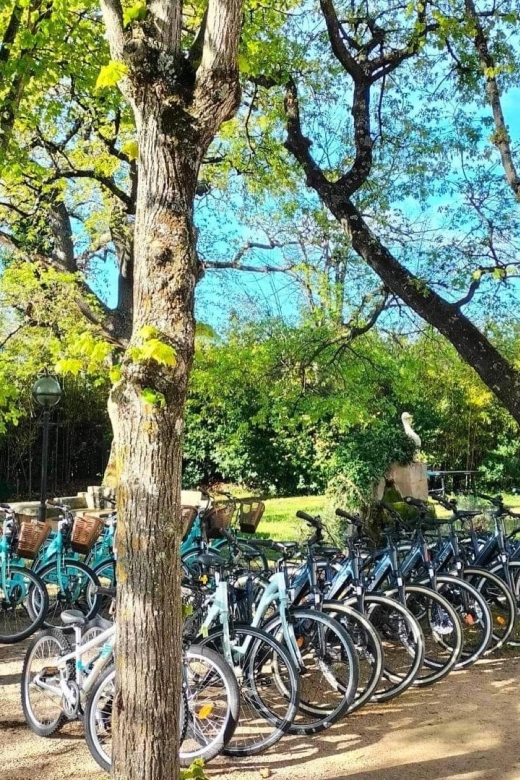 Saint-Aygulf: Bike Rental - Notable Nearby Attractions