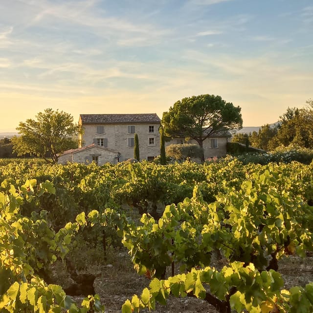 Saint-Didier: Visit a Winery & Taste Organic Wines - Key Points