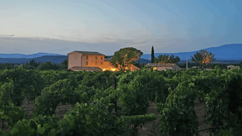 Saint-Didier: Visit a Winery & Taste Organic Wines - Wine Tasting Experience