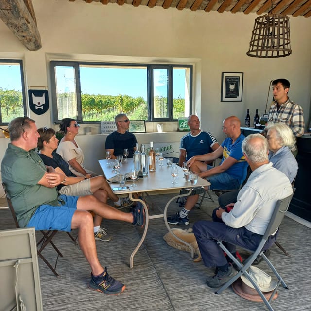 Saint-Didier: Visit a Winery & Taste Organic Wines - Scenic Views and Location