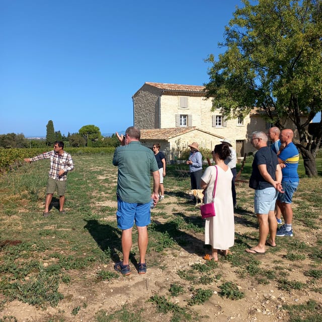 Saint-Didier: Visit a Winery & Taste Organic Wines - About the Winery