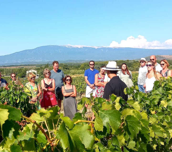 Saint-Didier: Visit a Winery & Taste Organic Wines - Since You Asked