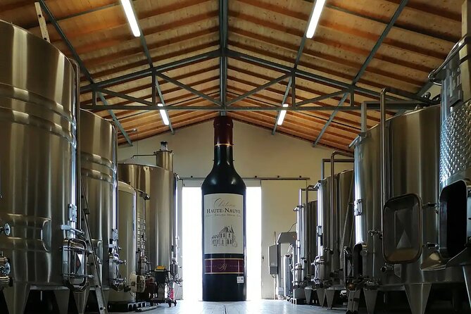Saint-Émilion: 2 Hours - Visit of the Vineyard, the Cellar, and Tasting - Unveiling the Cellar: A Journey Through Winemaking
