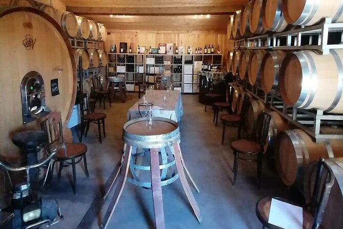 Saint-Émilion: 2 Hours - Visit of the Vineyard, the Cellar, and Tasting - Group Size and Accessibility: Accommodating Traveler Needs