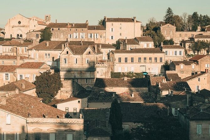 Saint Emilion Castle and Village Wine Tour - Who Will Love This Tour?