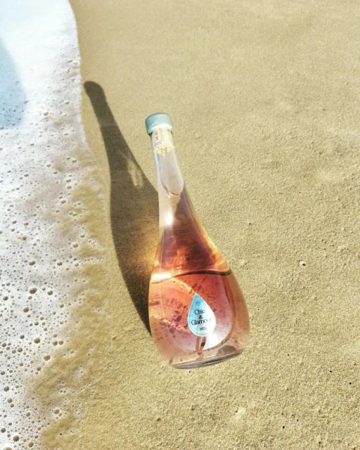 Saint-Émilion: Family Vineyard Visit With Wine Tasting - Wine Production Process