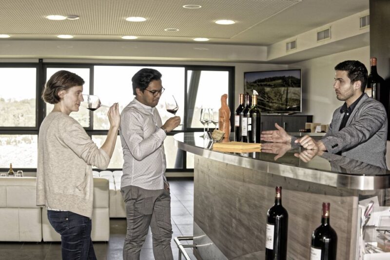 Saint-Émilion: Grand Cru Classé Winery Visit and Tasting - The Setting and Views