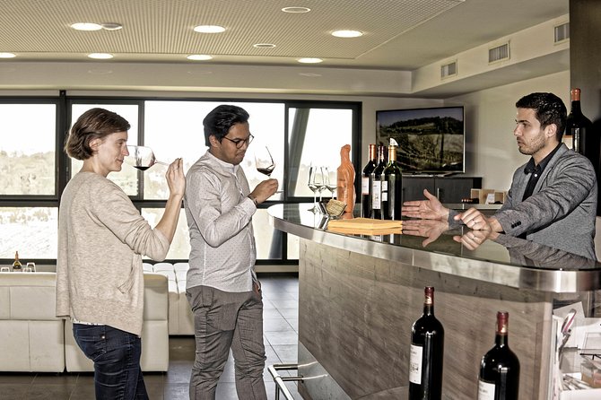 Saint-Emilion Grand Cru Classified: Visit & Tasting in French - The Wine Tasting Experience