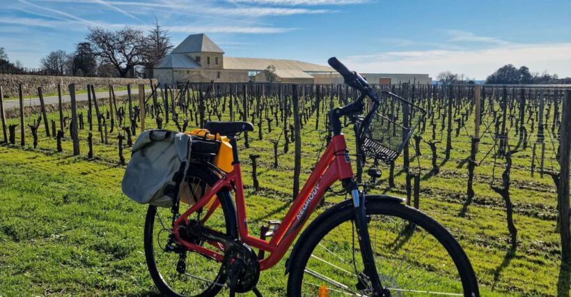 Saint Emilion Half Day Ebike and Wine Tour with Picnic - Authentic Experiences and Review Highlights