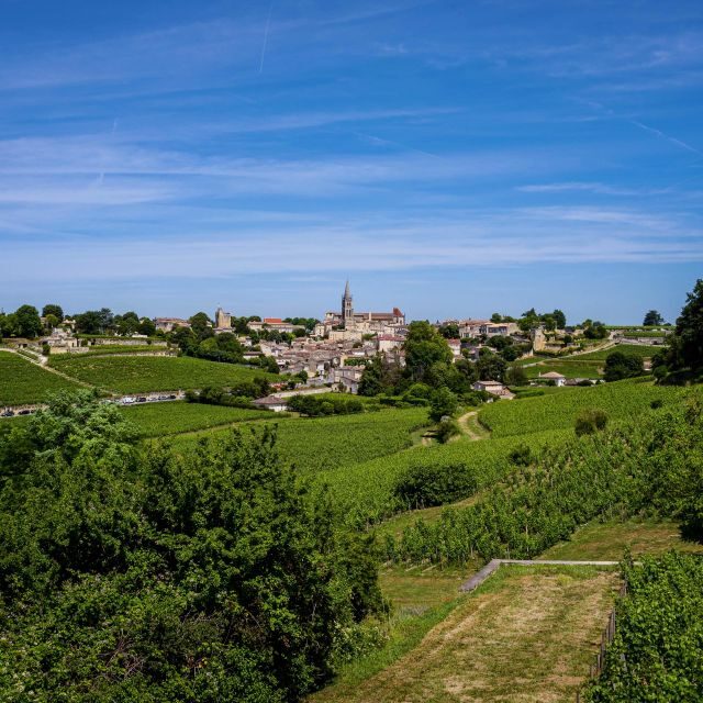 Saint Emilion Half Day Ebike and Wine Tour with Picnic - FAQ