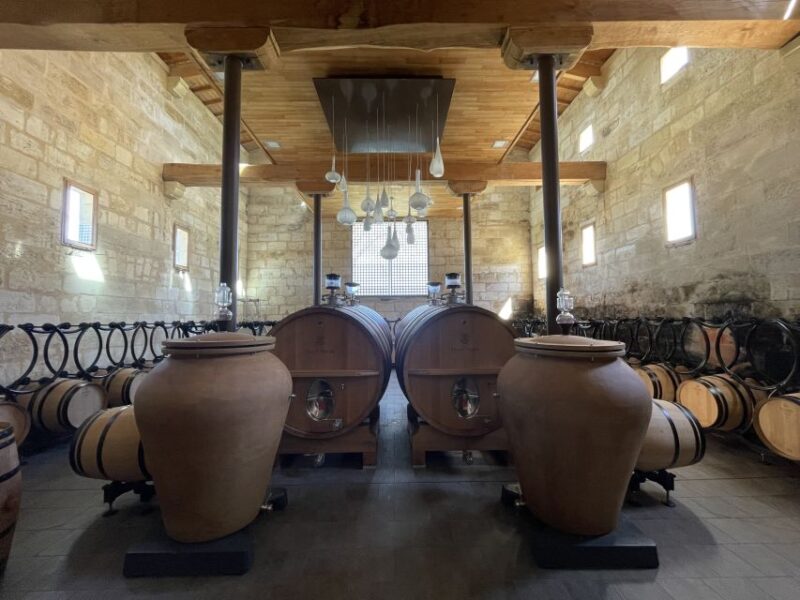Saint-Emilion : half-day wine-tour into classified estates - The Experience in Detail