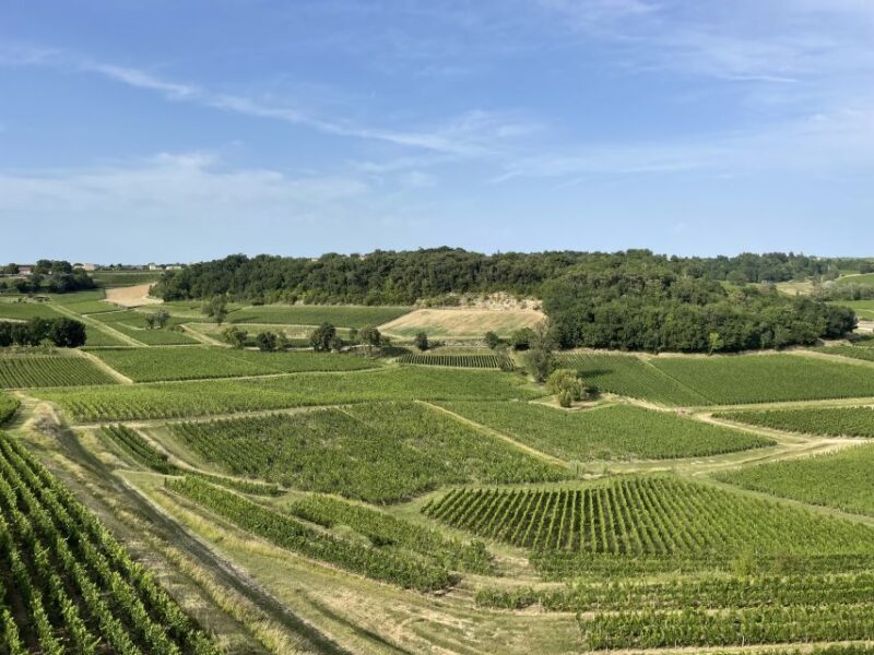 Saint-Emilion : half-day wine-tour into classified estates - Frequently Asked Questions