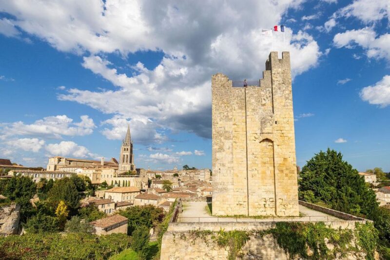 Saint-Emilion : half-day wine-tour into classified estates - Final Thoughts: Who Should Consider This Tour?