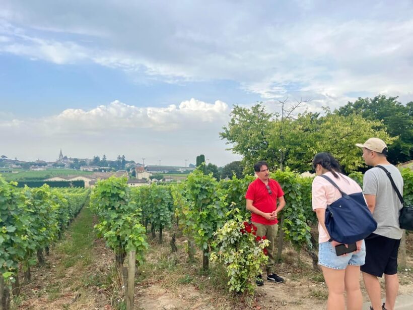 Saint-Émilion & Pomerol : Full day private tour classic car - Final Thoughts