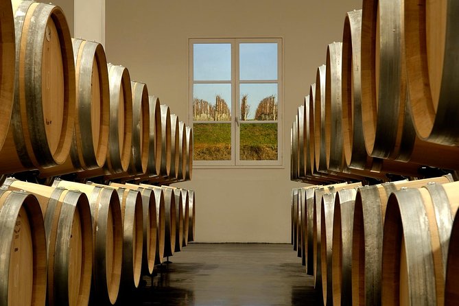 Saint-Emilion Private Half Day Wine Tour From Bordeaux - The Wine Tasting Experience