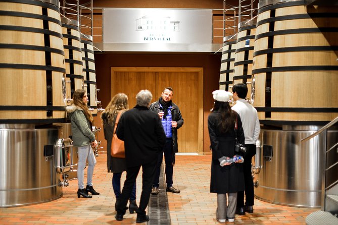 Saint-Emilion Small Group Day Tour With Wine Tastings & Lunch - Scenic Châteaux Visits